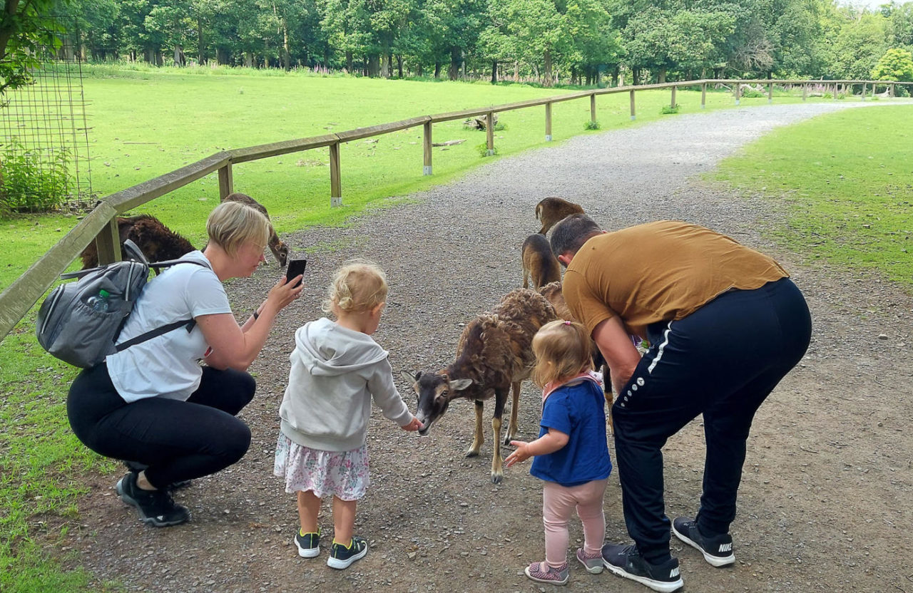 Edersee Tierpark zum Staunen und Lernen inmitten der Natur